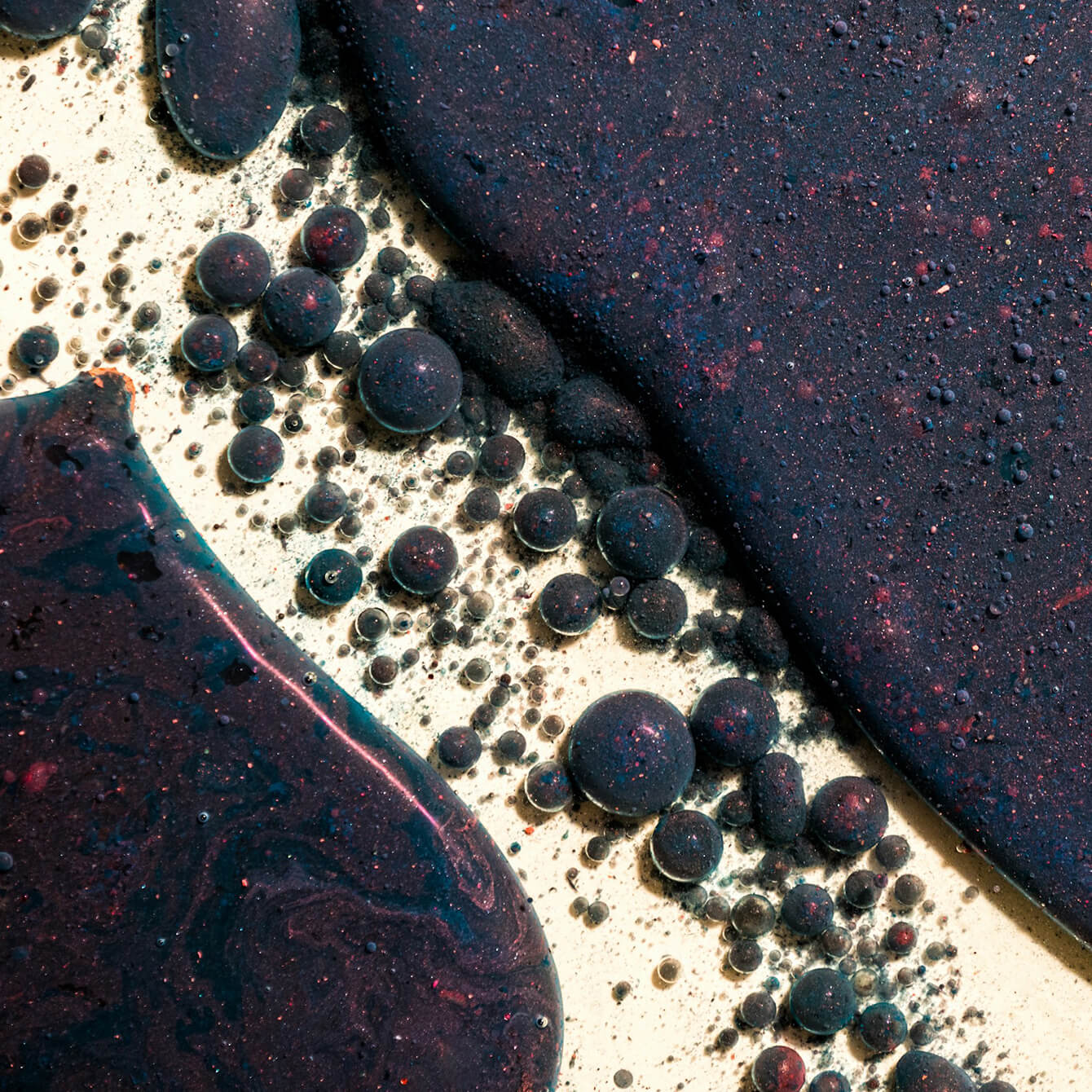 Bluesign system partner – moodytiger