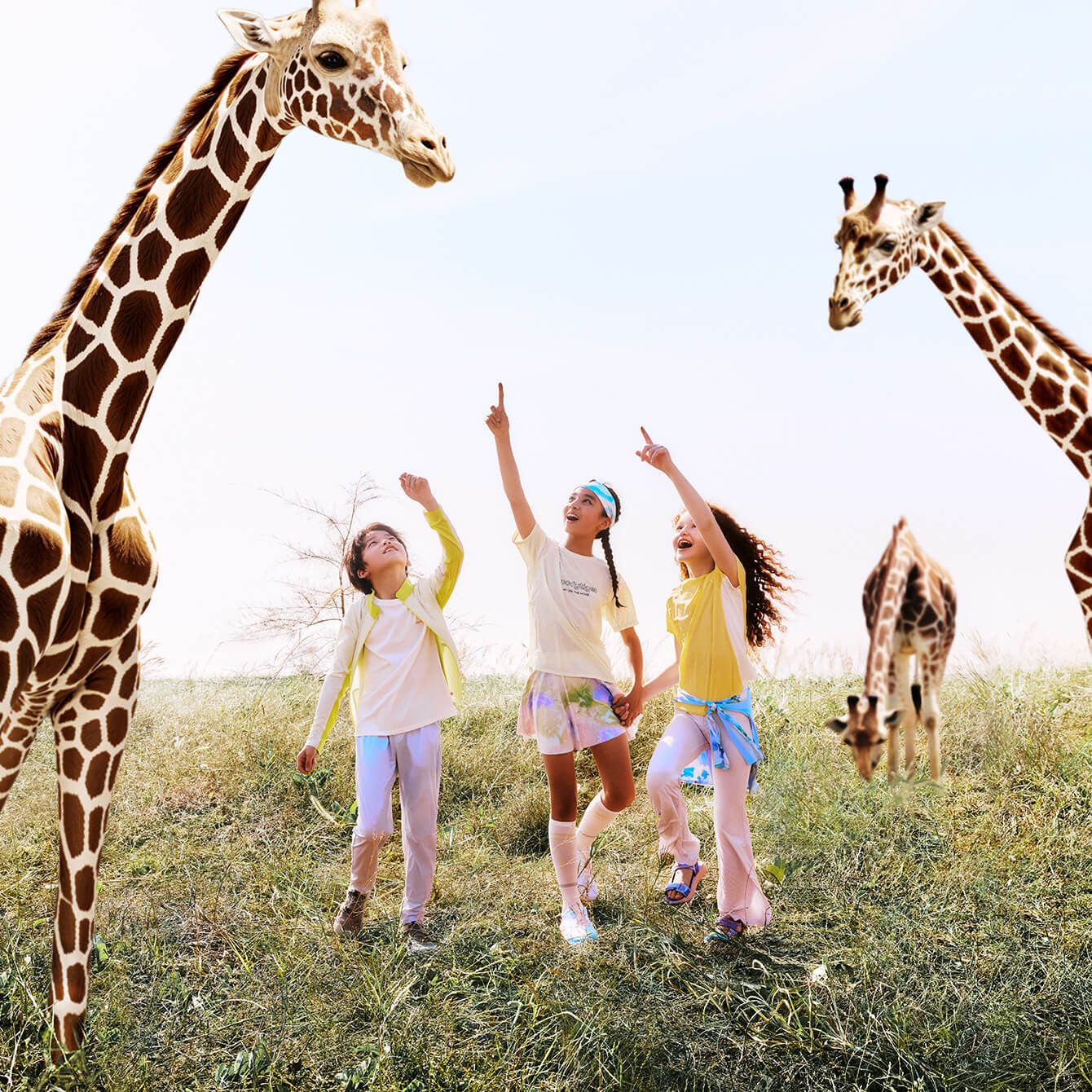 Bluesign system partner – moodytiger