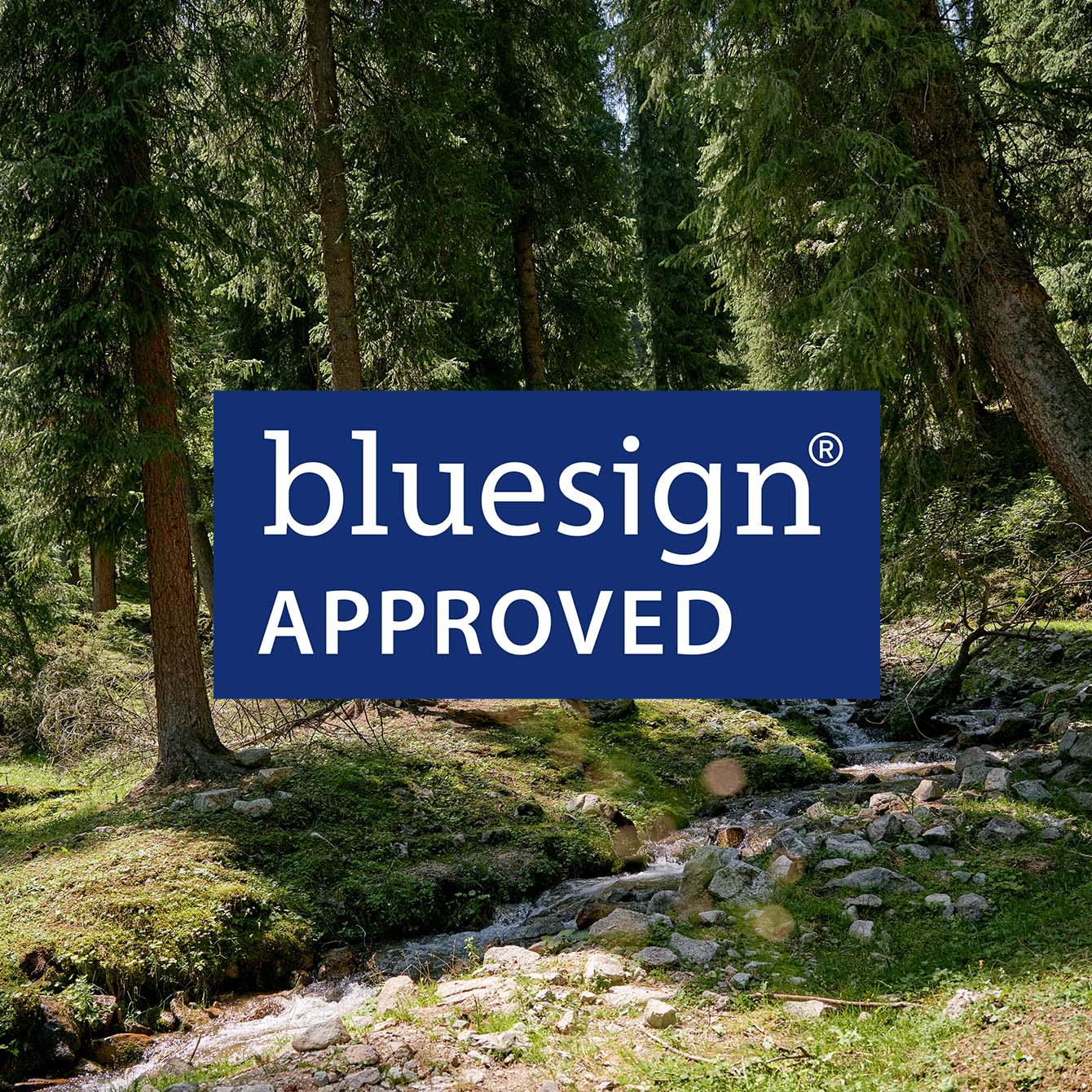 Bluesign system partner – moodytiger