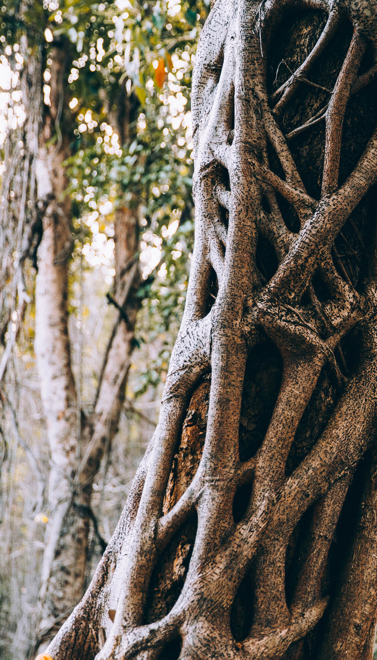 Bluesign system partner – moodytiger