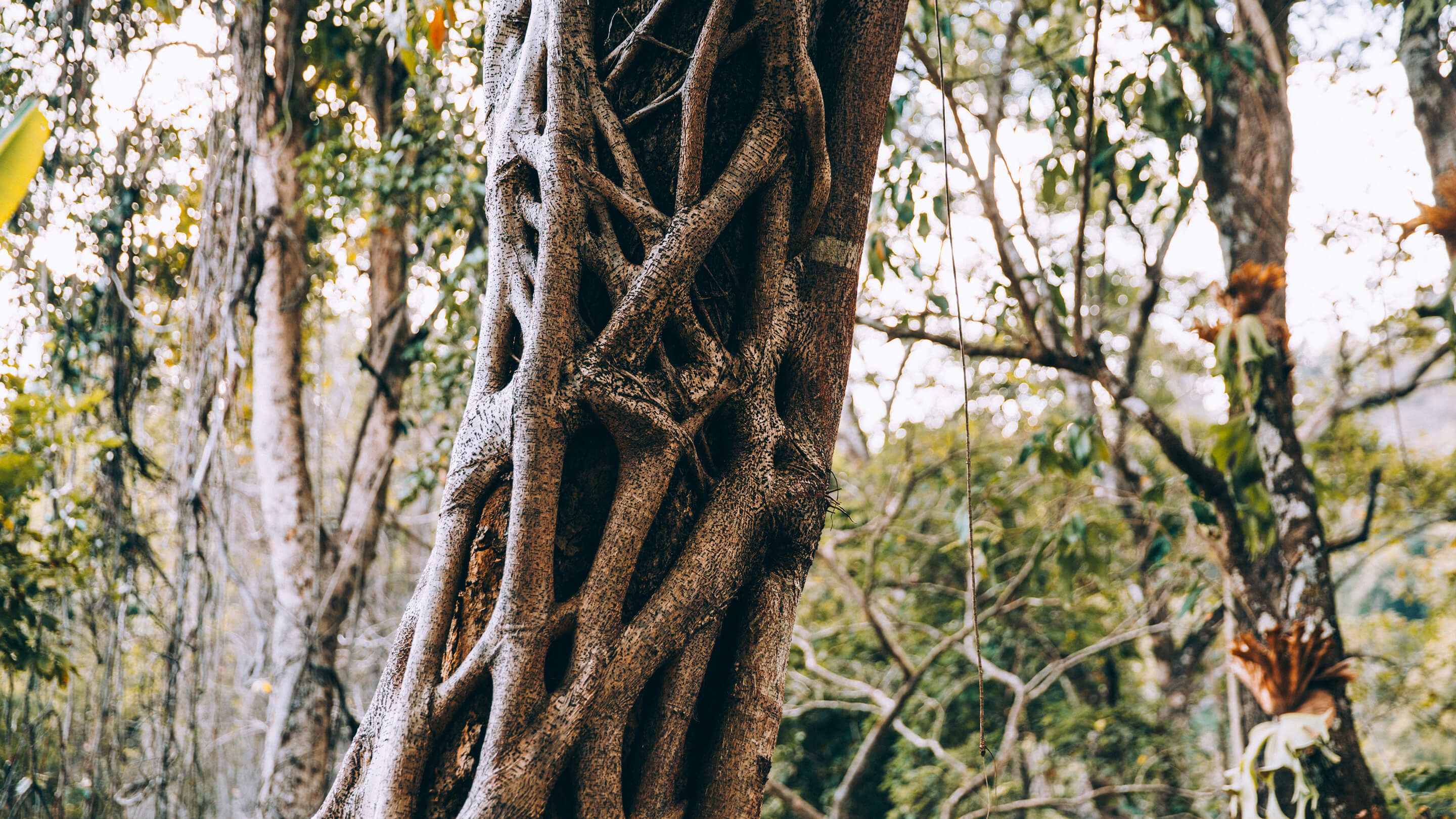 Bluesign system partner – moodytiger